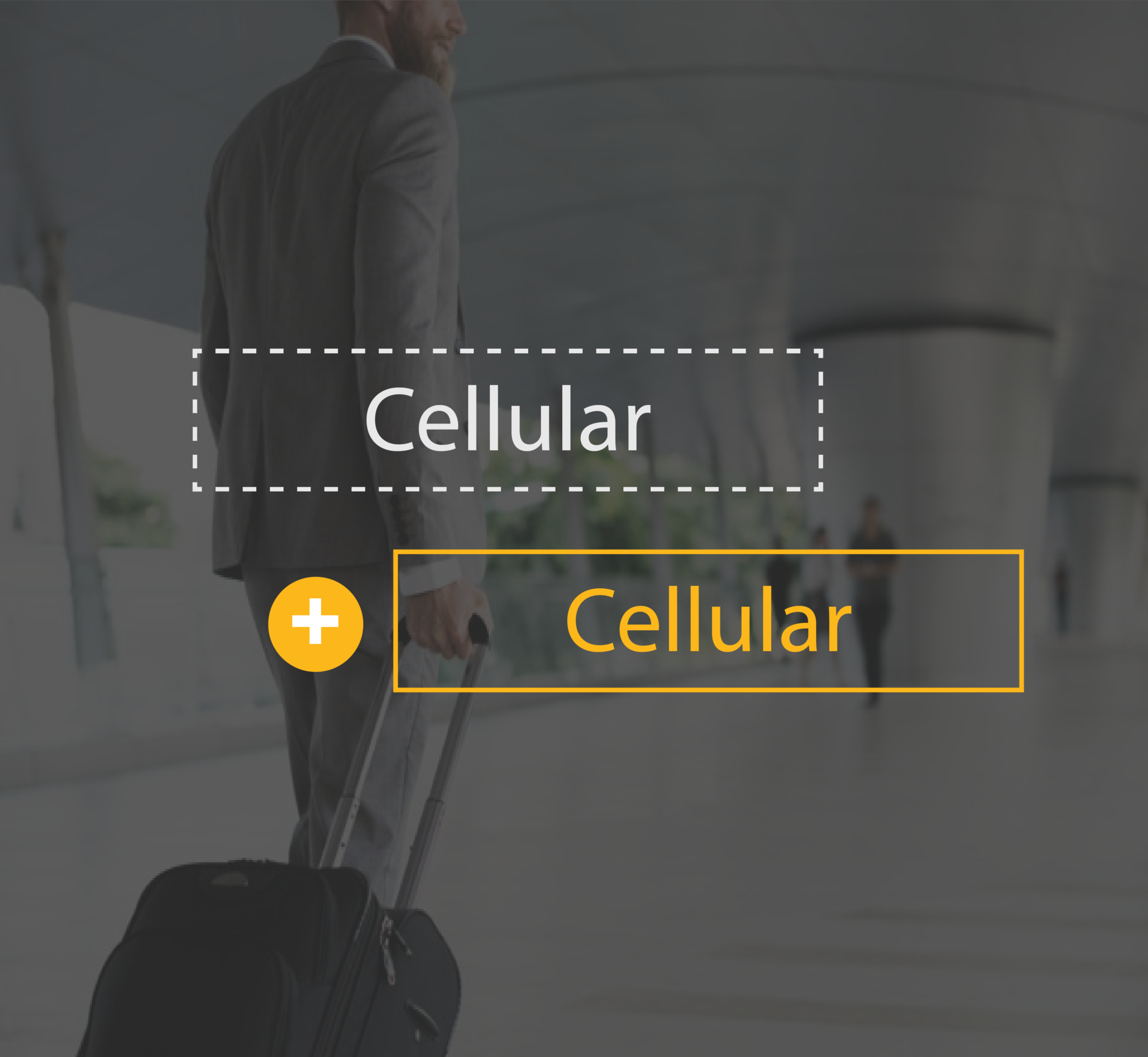SD-WAN Bandwidth Bonding Technology SpeedFusion - Peplink